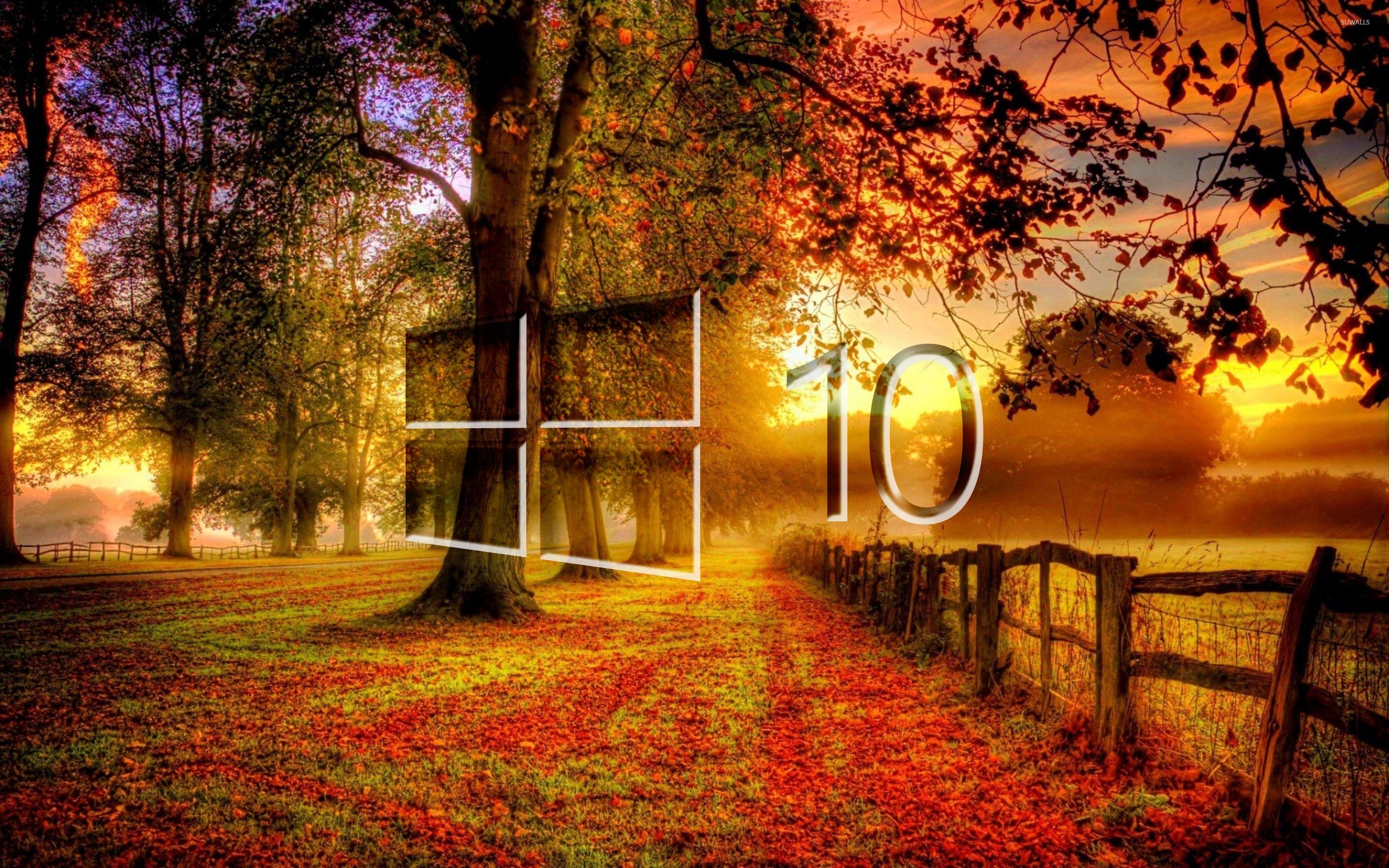 Lively Wallpaper Windows 10 Highops